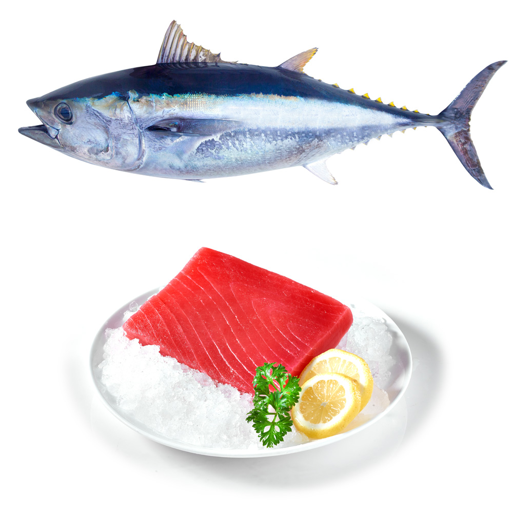Frozen Bluefin Tuna - CMU & Associates Inc.